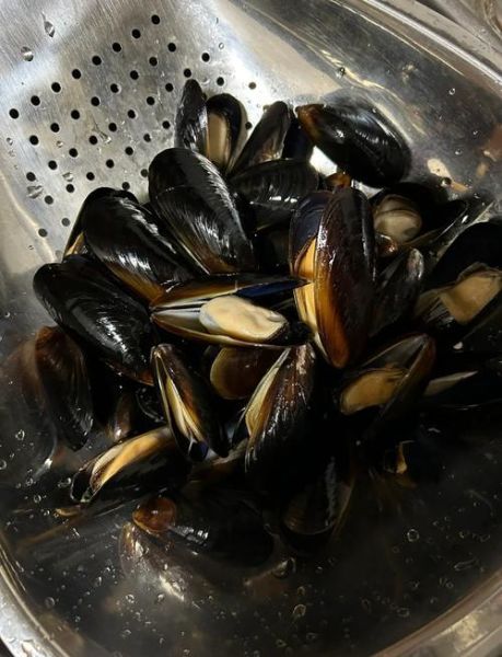 淡菜怎么做好吃_淡菜的做法大全家常菜-第1张图片-山城妙识