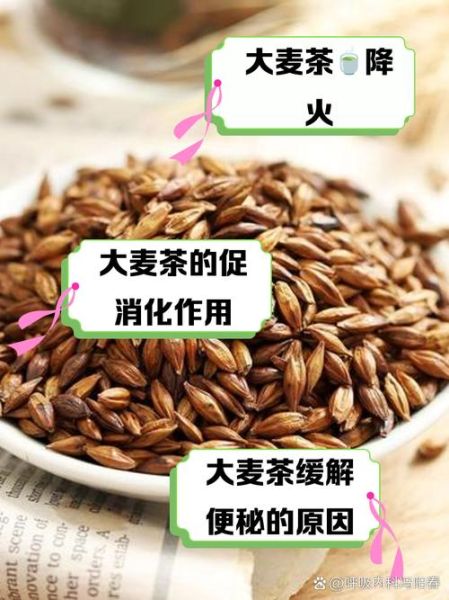 喝大麦茶的好处与禁忌_大麦茶能减肥吗-第2张图片-山城妙识