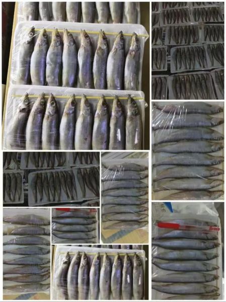 烤马步鱼怎么腌制_烤马步鱼用烤箱几度-第3张图片-山城妙识