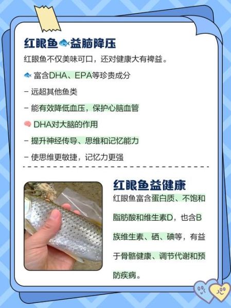 大眼红鱼是什么鱼_大眼红鱼产地在哪里-第1张图片-山城妙识 大眼红鱼是什么鱼_大眼红鱼产地在哪里-第1张图片-山城妙识