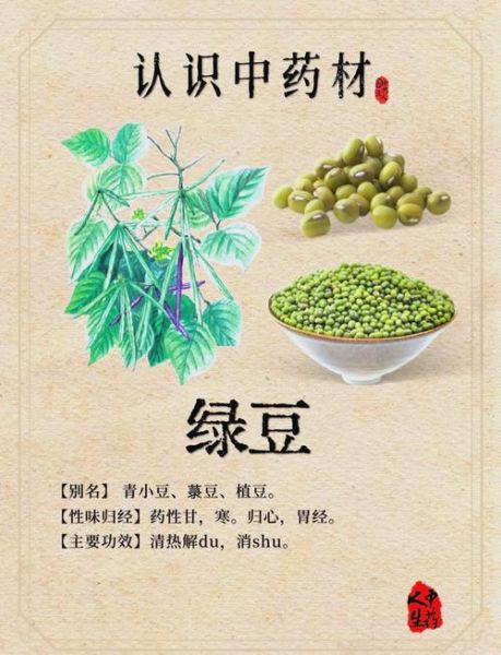 绿豆解中药吗_喝中药能吃绿豆吗-第1张图片-山城妙识 绿豆解中药吗_喝中药能吃绿豆吗-第1张图片-山城妙识