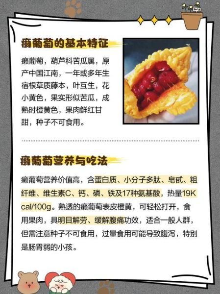 赖葡萄和苦瓜的区别_哪个更苦-第1张图片-山城妙识 赖葡萄和苦瓜的区别_哪个更苦-第1张图片-山城妙识