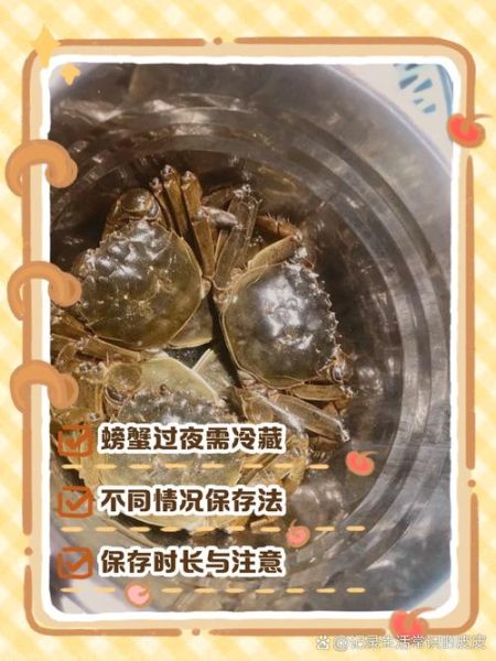 螃蟹怎么养过夜不会死_活蟹保存技巧-第1张图片-山城妙识 螃蟹怎么养过夜不会死_活蟹保存技巧-第1张图片-山城妙识
