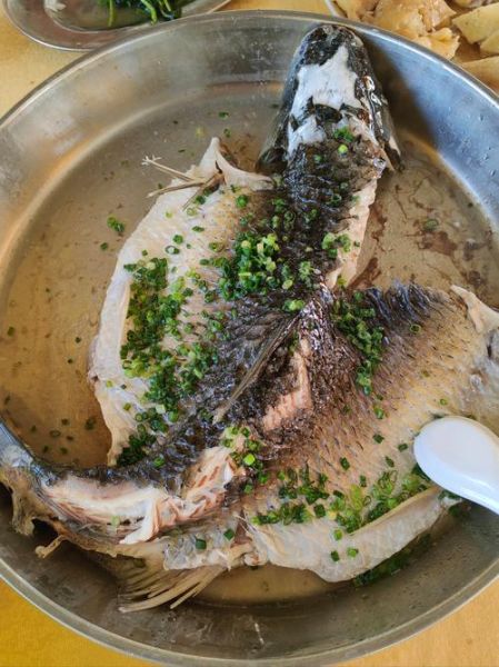 鲩鱼怎么做好吃_鲩鱼的营养价值有哪些-第1张图片-山城妙识