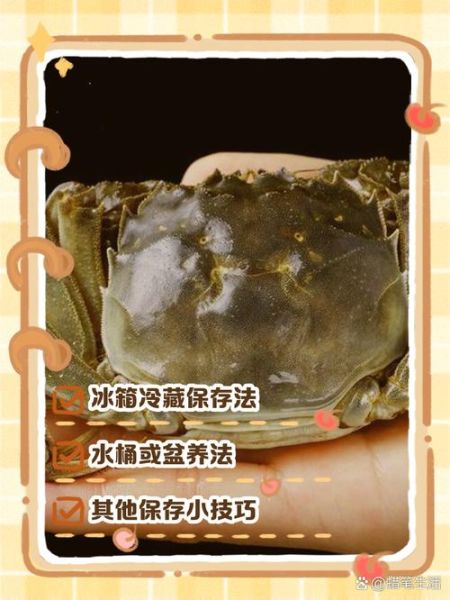 螃蟹怎么养过夜不会死_活蟹保存技巧-第3张图片-山城妙识 螃蟹怎么养过夜不会死_活蟹保存技巧-第3张图片-山城妙识
