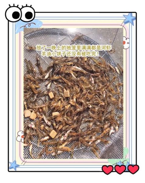 虾笼里放什么诱饵最好河虾_河虾诱饵配方大全-第1张图片-山城妙识 虾笼里放什么诱饵最好河虾_河虾诱饵配方大全-第1张图片-山城妙识