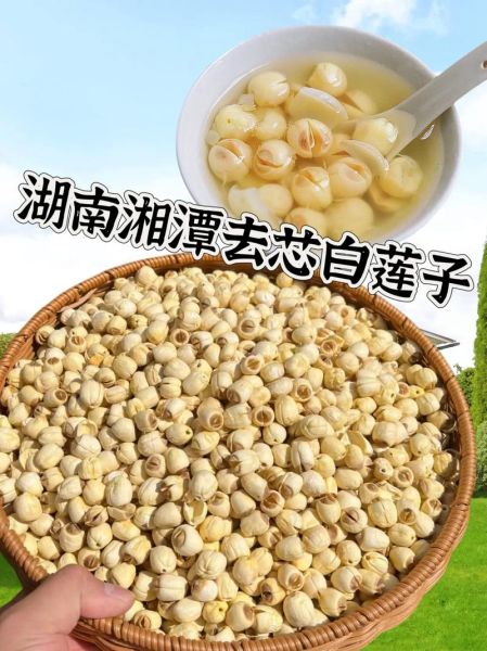 湘莲子有什么功效_湘莲子怎么吃最养人-第1张图片-山城妙识