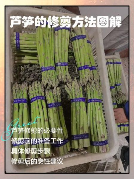 芦笋怎么切_芦笋切段技巧-第1张图片-山城妙识