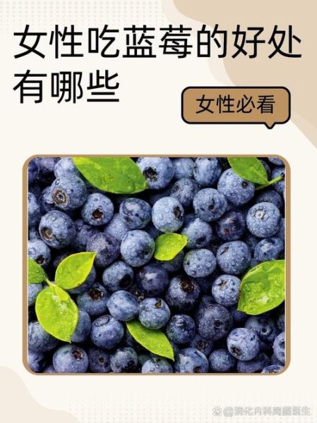 孕妇能吃蓝莓吗_蓝莓的功效与作用孕妇-第3张图片-山城妙识
