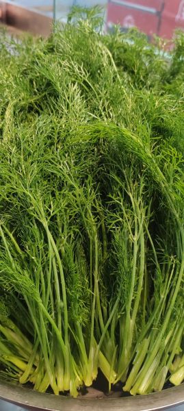 茴香苗饺子怎么做好吃_茴香苗饺子馅怎么调才香-第3张图片-山城妙识 茴香苗饺子怎么做好吃_茴香苗饺子馅怎么调才香-第3张图片-山城妙识