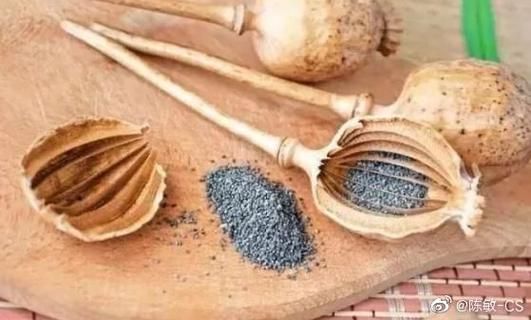 羊肉粉店掺罂粟杆_会被发现吗-第1张图片-山城妙识 羊肉粉店掺罂粟杆_会被发现吗-第1张图片-山城妙识