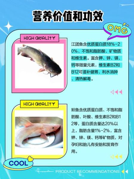 鮰鱼和清江鱼哪个好吃_鮰鱼清江鱼口感区别-第1张图片-山城妙识