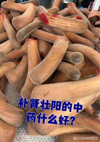 壮阳中药有哪些_哪种壮阳中药效果最好-第2张图片-山城妙识
