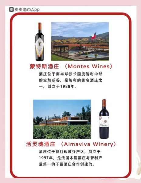 智利红酒品牌排行_哪个牌子好喝-第2张图片-山城妙识 智利红酒品牌排行_哪个牌子好喝-第2张图片-山城妙识