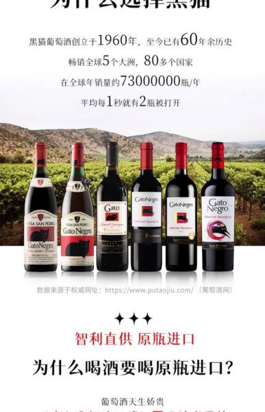 智利红酒品牌排行_哪个牌子好喝-第3张图片-山城妙识 智利红酒品牌排行_哪个牌子好喝-第3张图片-山城妙识