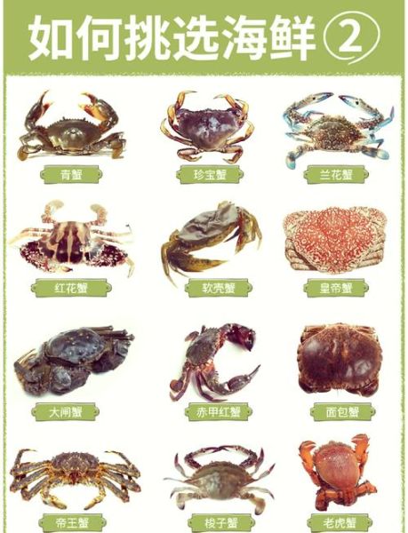 螃蟹种类及名称_如何区分常见蟹类-第1张图片-山城妙识 螃蟹种类及名称_如何区分常见蟹类-第1张图片-山城妙识
