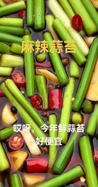 蒜苔怎么腌制好吃_蒜苔腌制做法大全-第2张图片-山城妙识