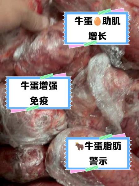 牛蛋怎么做好吃_牛蛋的功效与作用-第3张图片-山城妙识