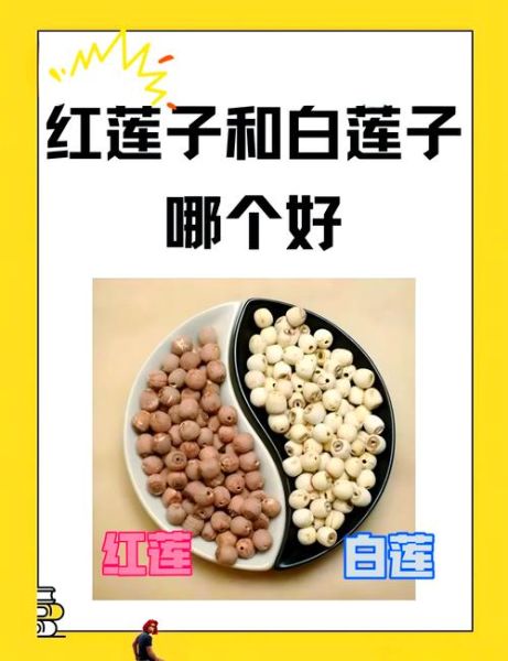 红莲子和白莲子哪个好_红莲子和白莲子功效区别-第1张图片-山城妙识