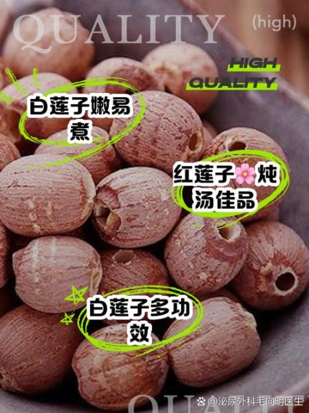 红莲子和白莲子哪个好_红莲子和白莲子功效区别-第3张图片-山城妙识