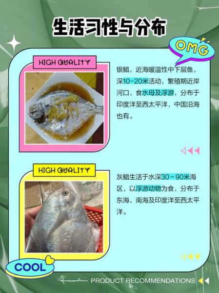 平鱼和鲳鱼的区别_怎么区分平鱼和鲳鱼-第1张图片-山城妙识