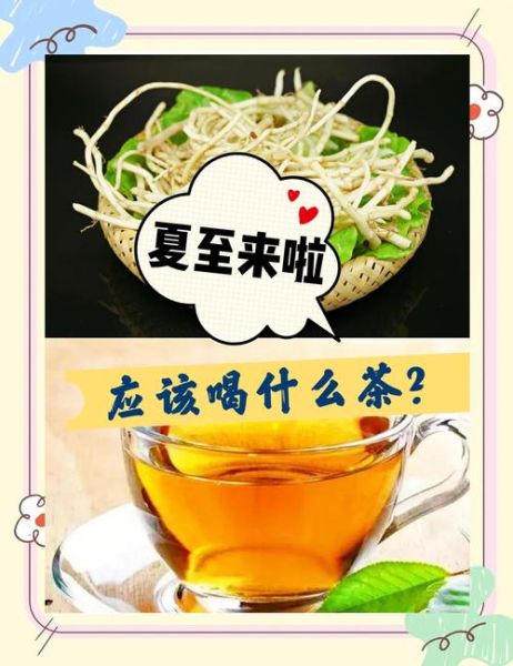 鱼腥草怎么泡水喝_鱼腥草的正确使用方法-第2张图片-山城妙识