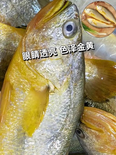 冰冻黄鱼怎么做好吃_冰冻黄鱼的家常做法-第3张图片-山城妙识 冰冻黄鱼怎么做好吃_冰冻黄鱼的家常做法-第3张图片-山城妙识