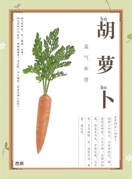 胡萝卜的功效与作用有哪些_胡萝卜的营养价值高吗-第2张图片-山城妙识