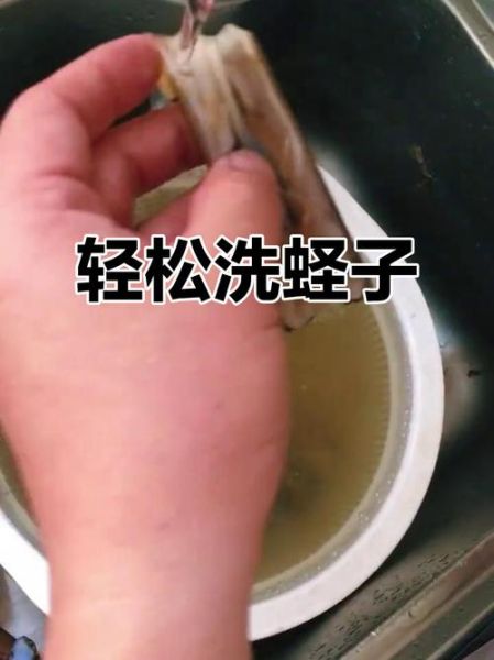 蛏子怎么洗_蛏子清洗方法-第3张图片-山城妙识