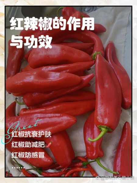 干辣椒的功效与作用_干辣椒怎么吃不上火-第1张图片-山城妙识 干辣椒的功效与作用_干辣椒怎么吃不上火-第1张图片-山城妙识