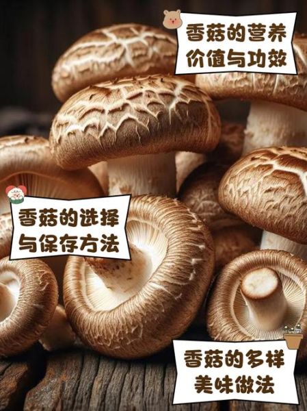 香菇的功效与作用禁忌_怎么吃最健康-第2张图片-山城妙识 香菇的功效与作用禁忌_怎么吃最健康-第2张图片-山城妙识