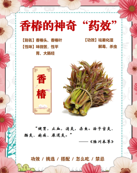 香椿的药用功效有哪些_香椿的禁忌是什么-第1张图片-山城妙识