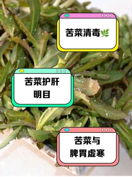 天天吃苦菜有没有害处_苦菜吃多了会怎样-第2张图片-山城妙识 天天吃苦菜有没有害处_苦菜吃多了会怎样-第2张图片-山城妙识