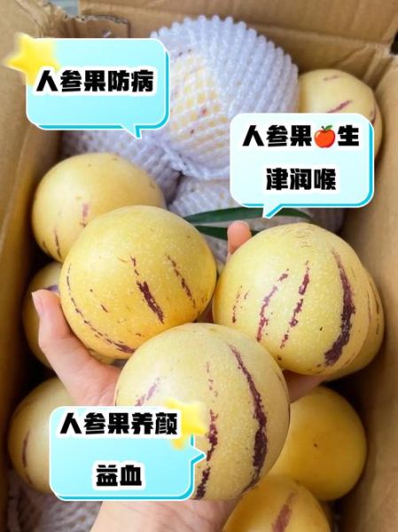 人参果的功效与作用有哪些_怎么吃最养生-第2张图片-山城妙识