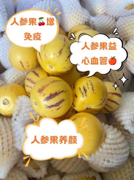 人参果的功效与作用有哪些_怎么吃最养生-第3张图片-山城妙识