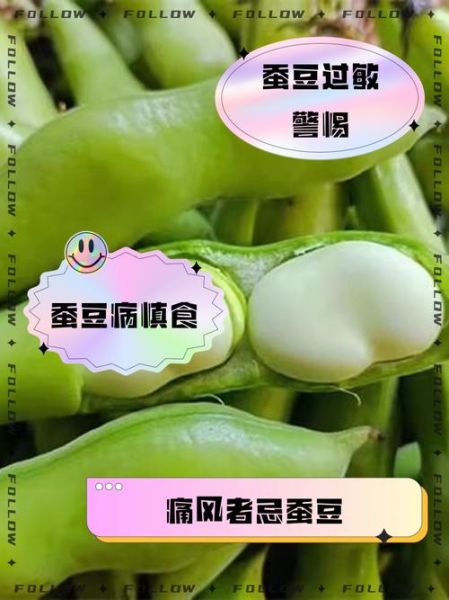 蚕豆不适合什么人吃_蚕豆病能吃吗-第3张图片-山城妙识