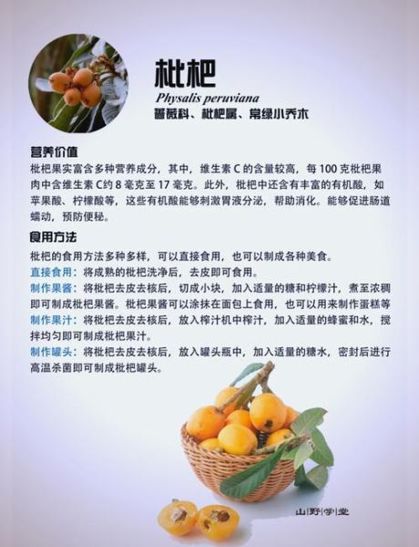 湖南土枇杷的功效与作用_湖南土枇杷怎么吃效果最好-第1张图片-山城妙识