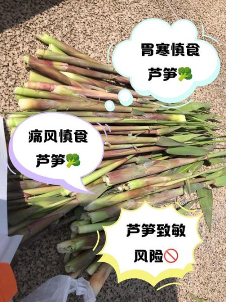 芦笋要削皮吗_芦笋头能吃吗-第3张图片-山城妙识
