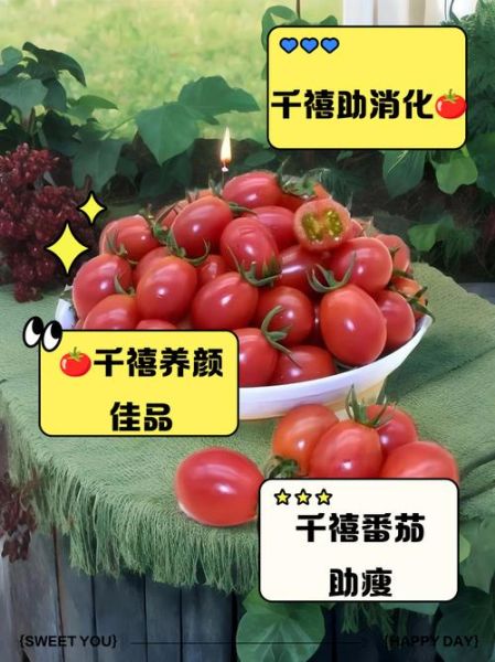 千禧小番茄的功效与作用_千禧小番茄能减肥吗-第1张图片-山城妙识