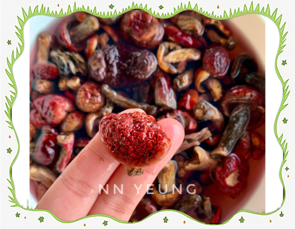 红蘑菇怎么做好吃_红蘑菇炖汤的做法-第3张图片-山城妙识