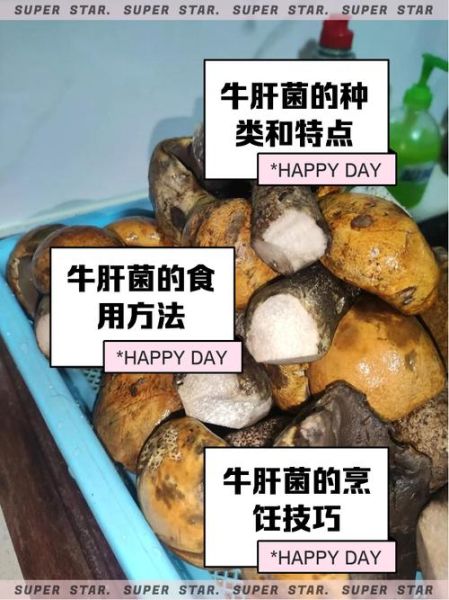 牛肚菌和牛肝菌的区别_如何一眼分辨-第3张图片-山城妙识