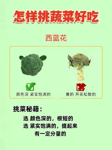 蔬菜种类有哪些_如何挑选新鲜蔬菜-第1张图片-山城妙识