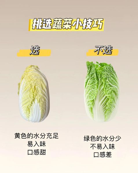 蔬菜种类有哪些_如何挑选新鲜蔬菜-第2张图片-山城妙识