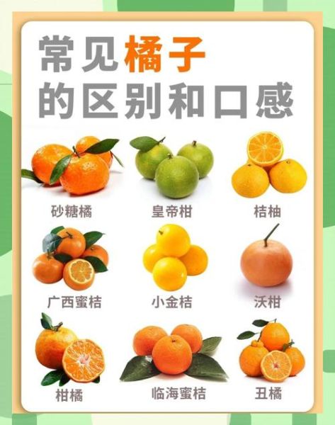 橙子是几月份的当季水果_橙子什么时候最好吃-第2张图片-山城妙识