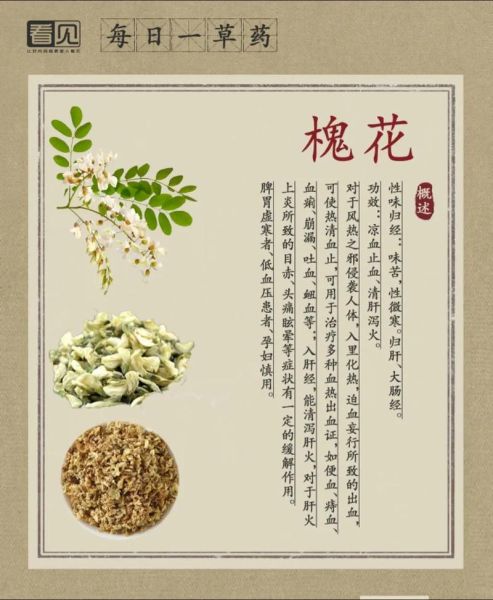 槐树花有什么功效_槐花怎么吃效果最好-第3张图片-山城妙识 槐树花有什么功效_槐花怎么吃效果最好-第3张图片-山城妙识