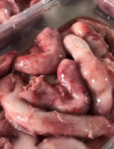 普通鱼的鱼肚有营养价值吗_鱼肚怎么吃最补-第3张图片-山城妙识