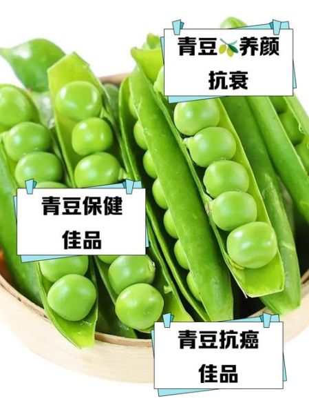 青豆的功效与作用禁忌_青豆吃多了会上火吗-第1张图片-山城妙识 青豆的功效与作用禁忌_青豆吃多了会上火吗-第1张图片-山城妙识