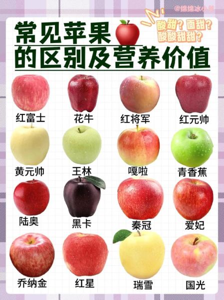 小苹果水果多少钱一斤_小苹果和普通苹果区别-第2张图片-山城妙识 小苹果水果多少钱一斤_小苹果和普通苹果区别-第2张图片-山城妙识