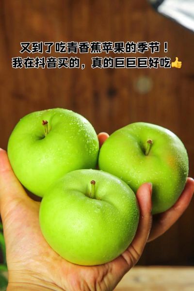 小苹果水果多少钱一斤_小苹果和普通苹果区别-第3张图片-山城妙识 小苹果水果多少钱一斤_小苹果和普通苹果区别-第3张图片-山城妙识