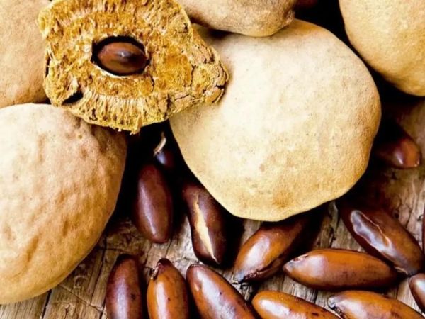 男人壮阳吃什么水果_男人必吃的十大壮阳水果-第1张图片-山城妙识